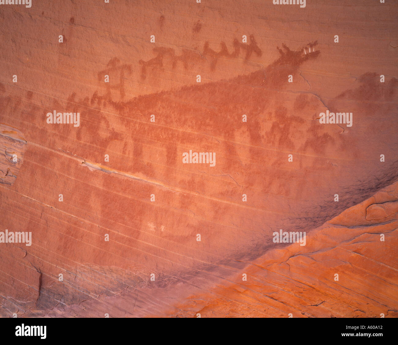 Giant wolf Pictograph National Park Lands Utah Stock Photo - Alamy