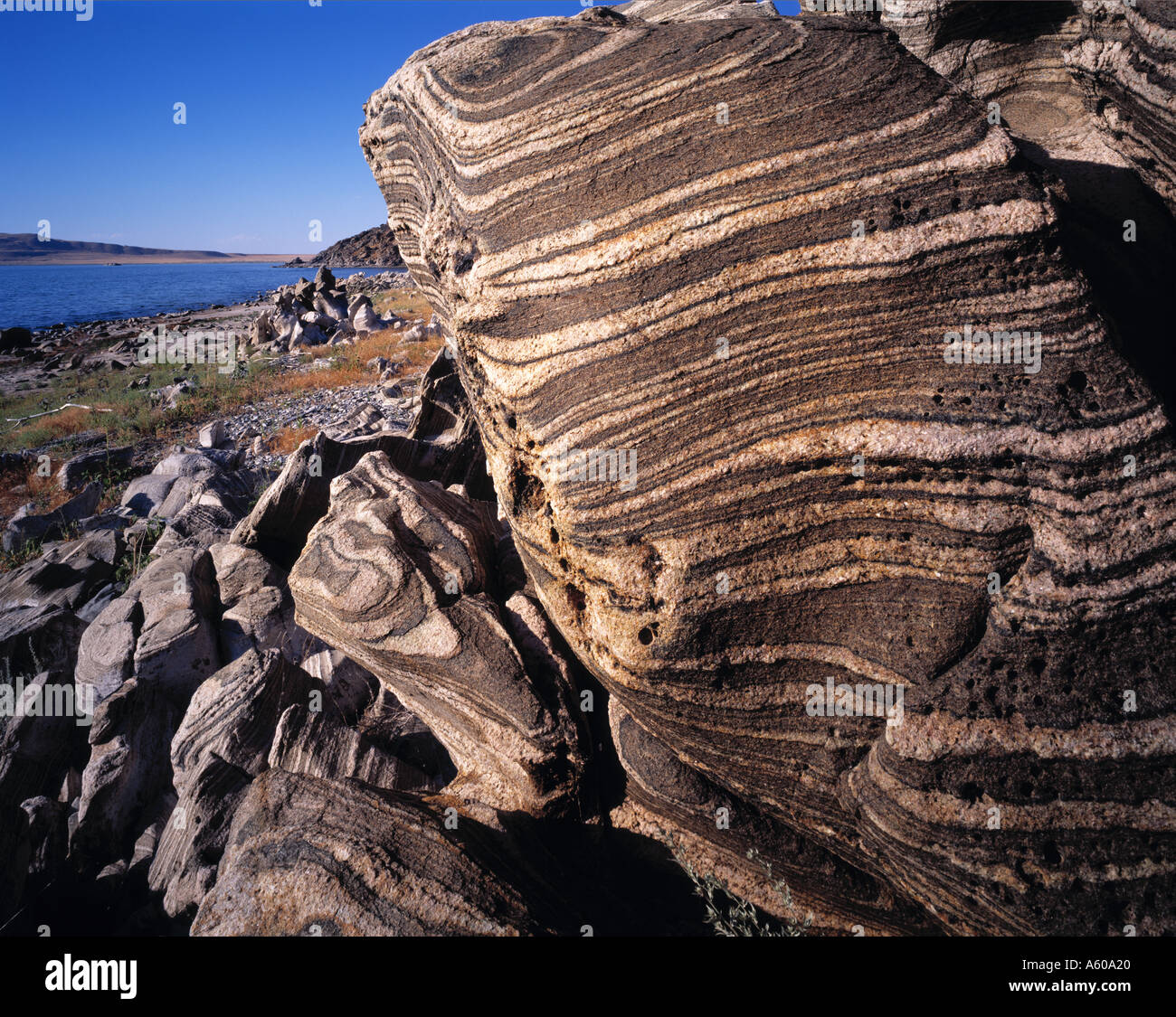 Rock Patterns at Antelope Island Antelope Island State Park Utah Stock ...