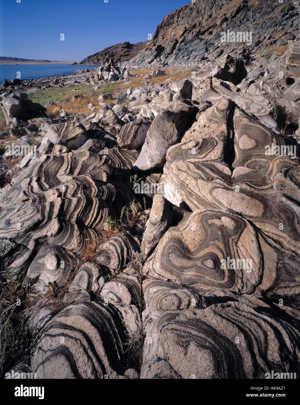 Rock Pattern at Antelope Island Antelope Island State Park Utah Stock ...