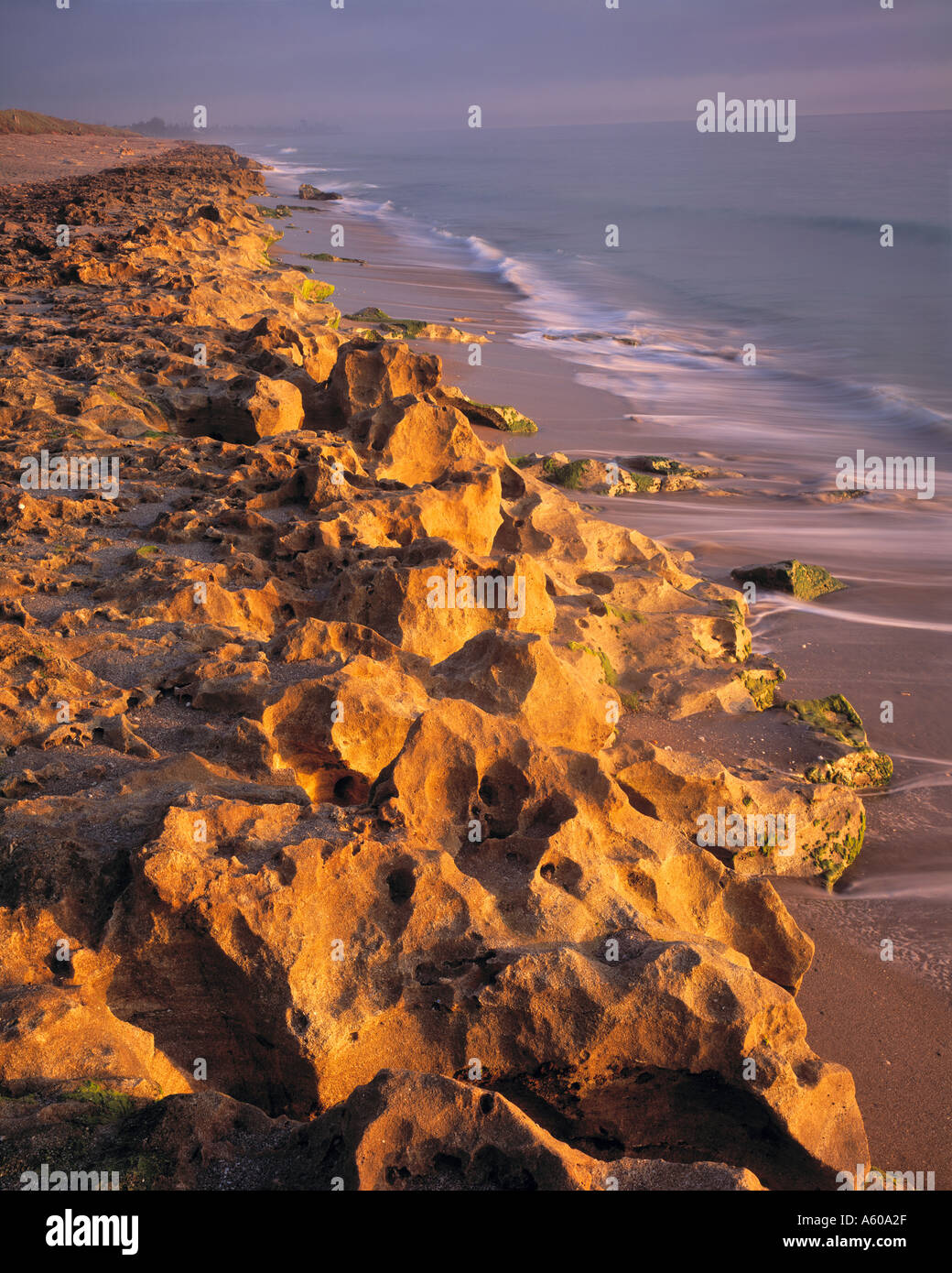 Florida limestone hi-res stock photography and images - Alamy