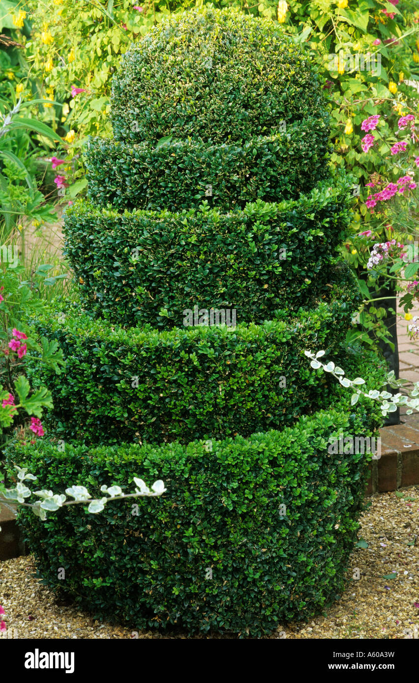 Spiral box topiary hi-res stock photography and images - Alamy
