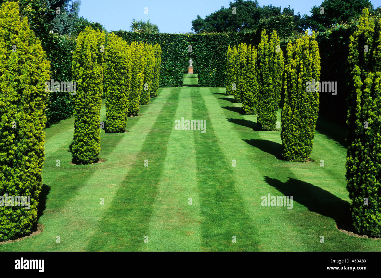 Striped lawn hi-res stock photography and images - Alamy