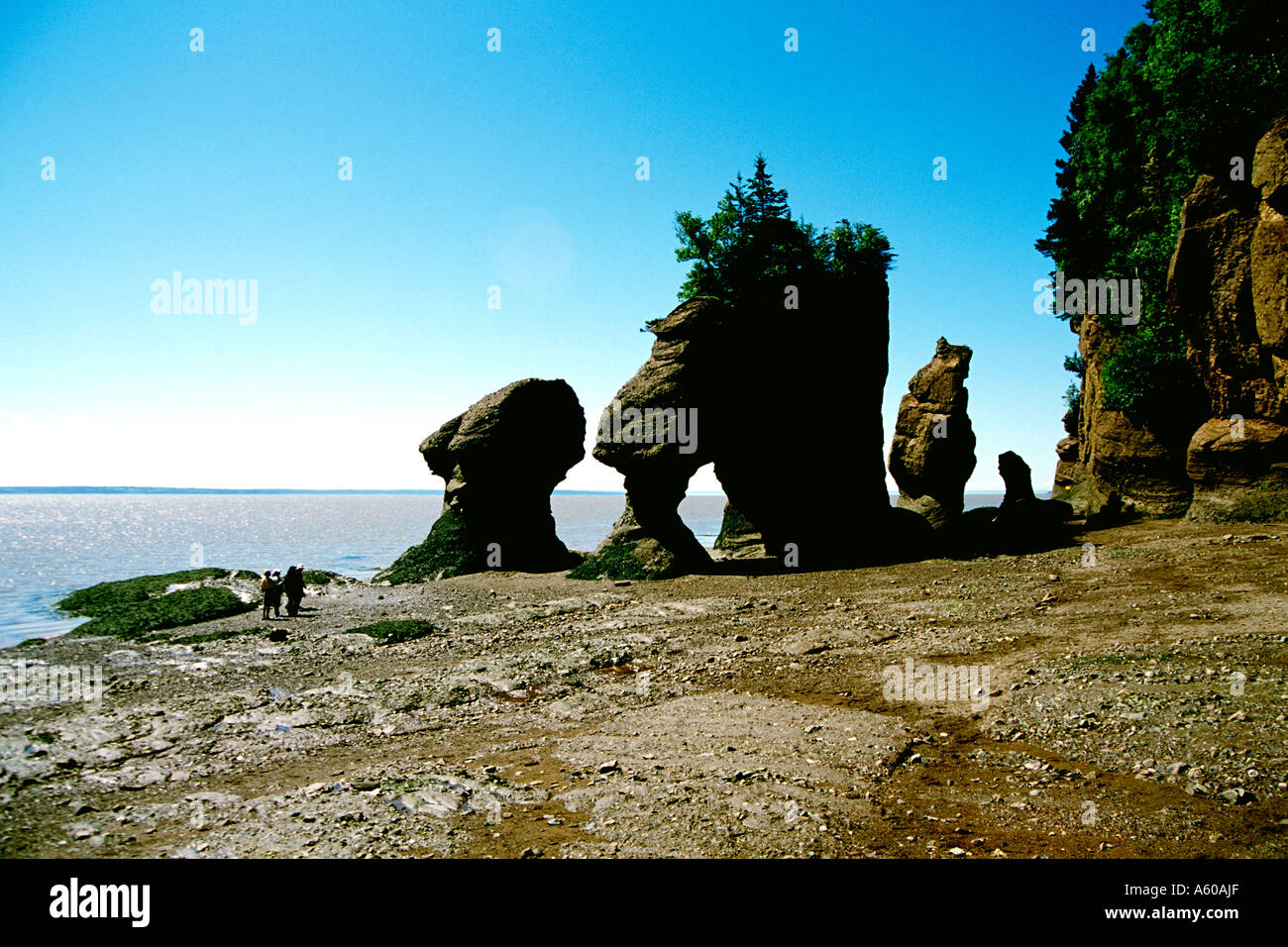 The hopewell rocks hi-res stock photography and images - Alamy