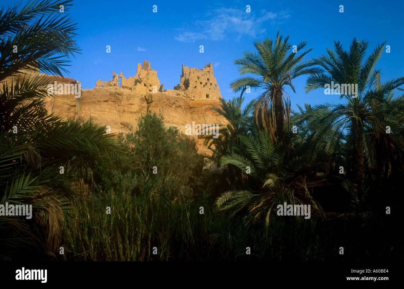 EGYPT Western Desert Siwa Oasis Temple Of The Oracle on hilltop above ...