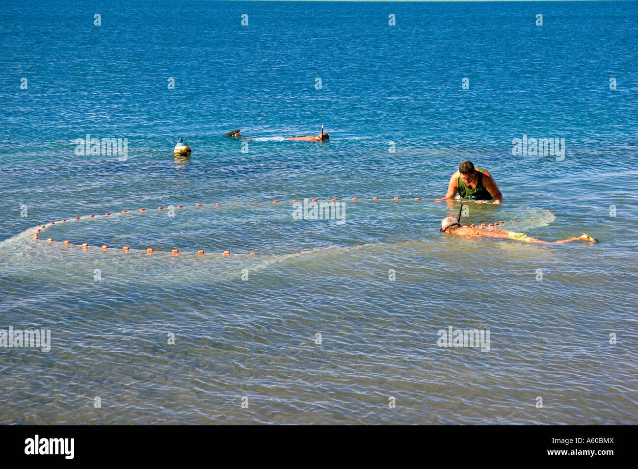 Tahitian men fishing with a net in the lagoon off the island of Tahiti ...