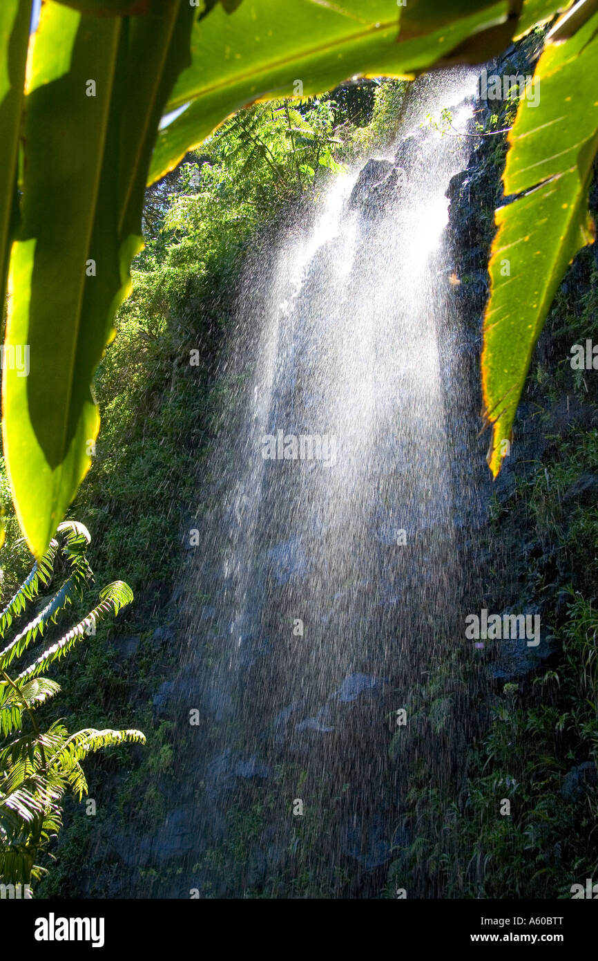 Water falls from a natural spring grotto outside of Papeete on the ...