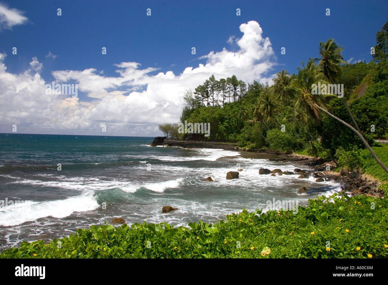 Seascape and tropical vegetation on the island of Tahiti Stock Photo ...
