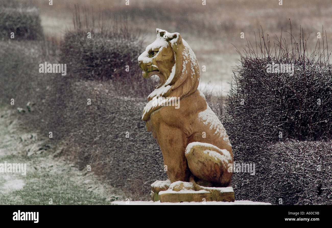 Chilford hall vineyard hi-res stock photography and images - Alamy