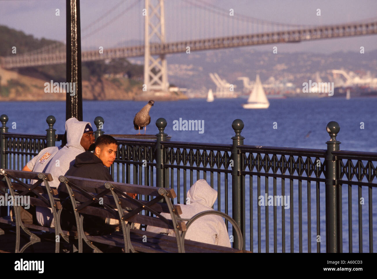 USA California San Francisco the Bay bridge from Pier 7 Stock Photo - Alamy