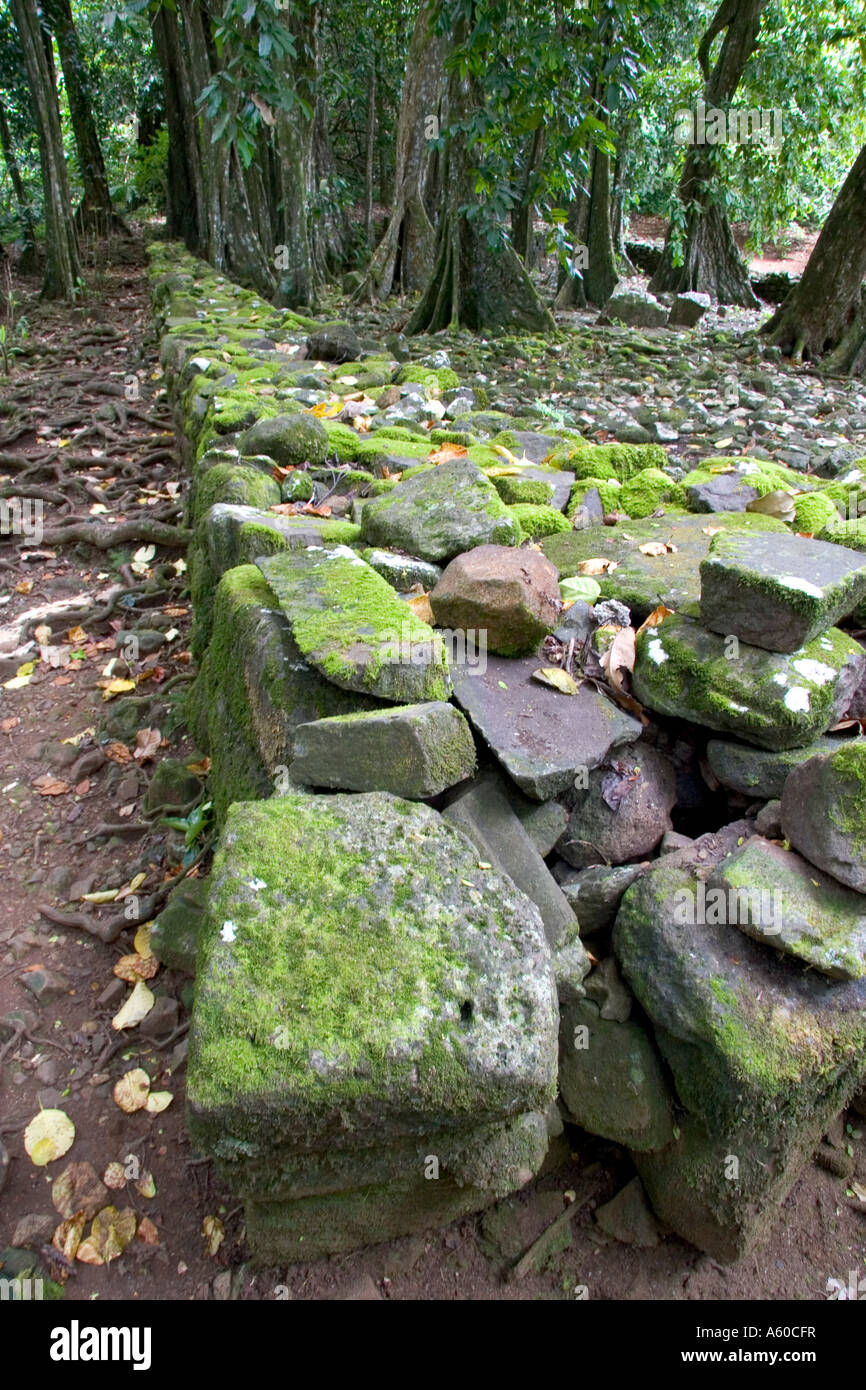 Rock walls are remains of a Marae ancient settlement on the island of ...