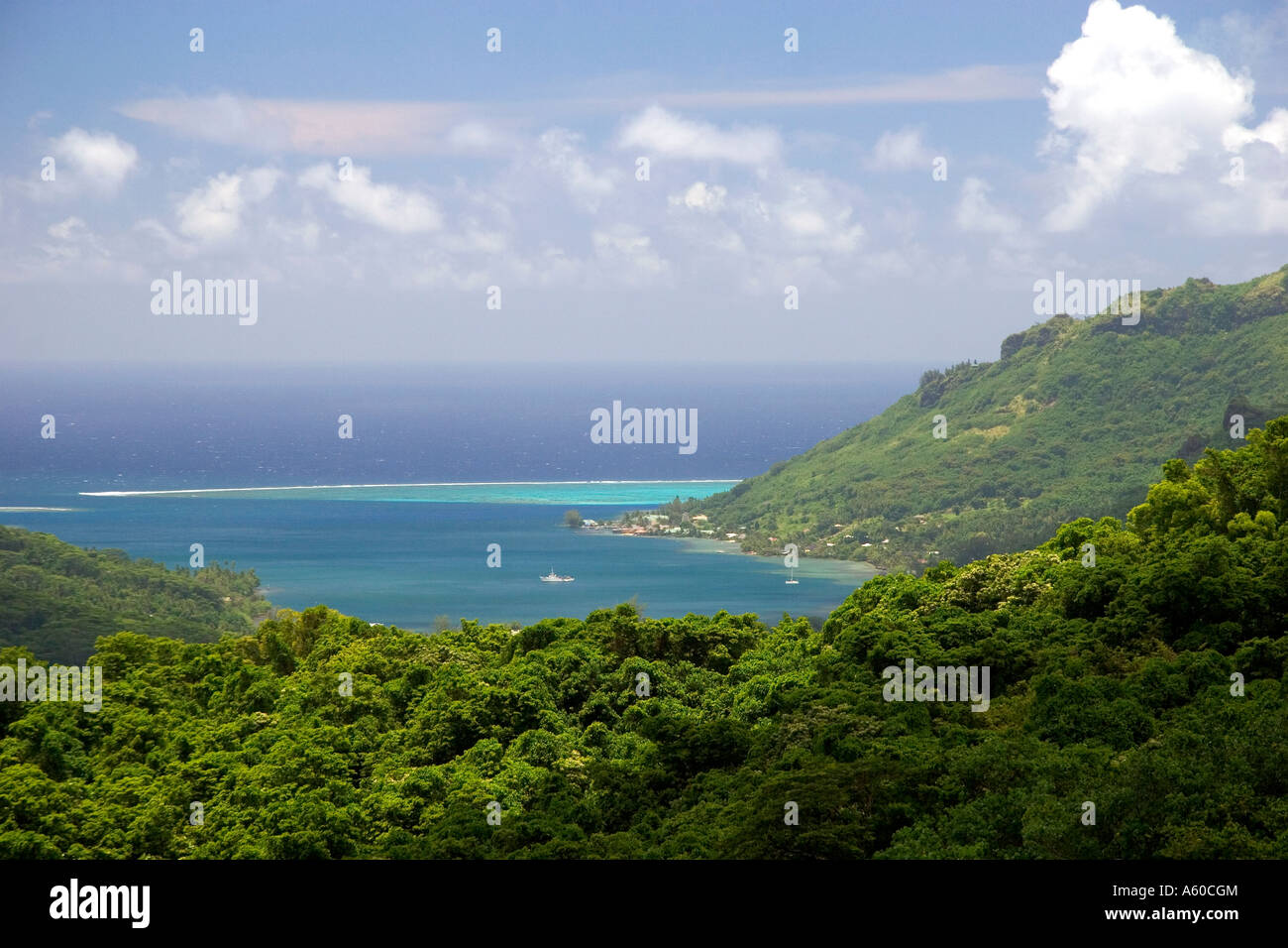A view of Cook s Bay from Belvedere on the island of Moorea Stock Photo ...