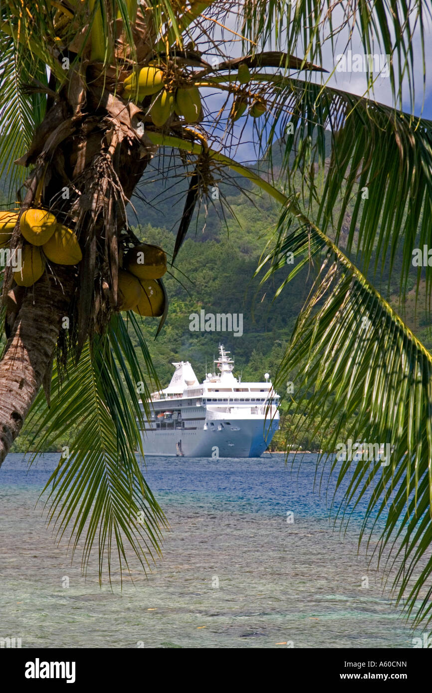 A coconut palm tree frames a view of the Paul Gaugin cruise ship ...