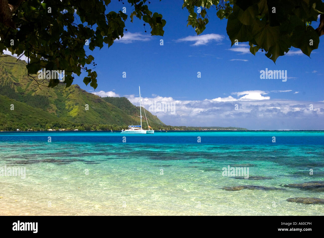 A sailboat anchored in the lagoon off the island of Moorea Stock Photo ...
