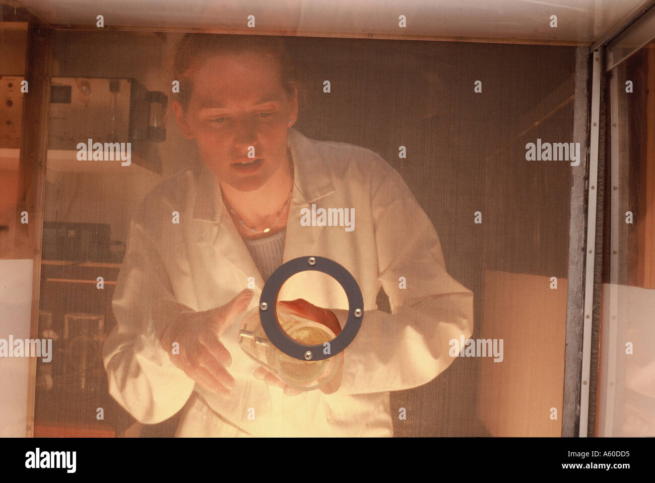 Medical entomologist hi-res stock photography and images - Alamy