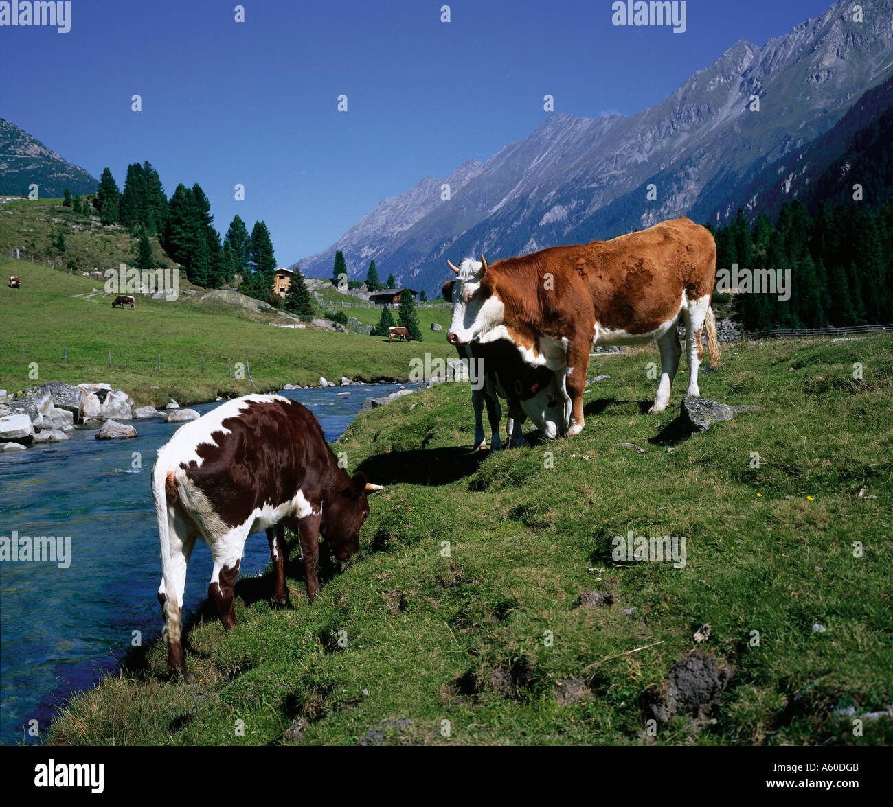 Krimmler tauern valley hi-res stock photography and images - Alamy