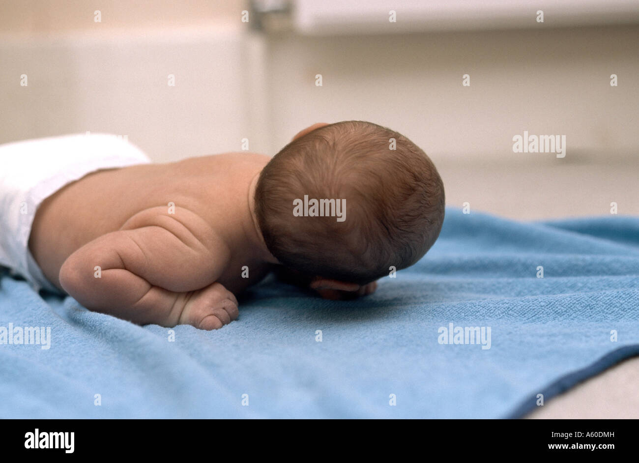 Fifteen day old baby begins to raise his head while lying on his ...