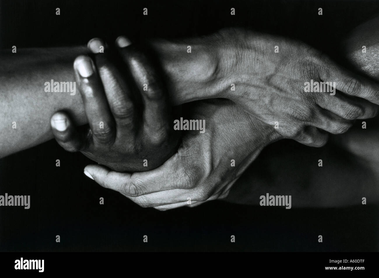 Close-up of human hands holding each other Stock Photo - Alamy