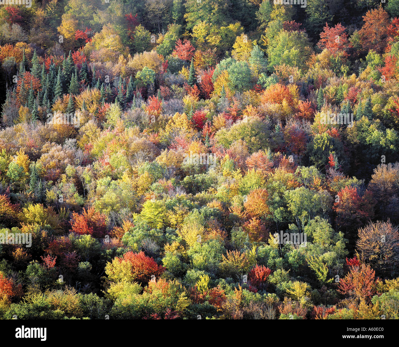 Groton vermont hi-res stock photography and images - Alamy