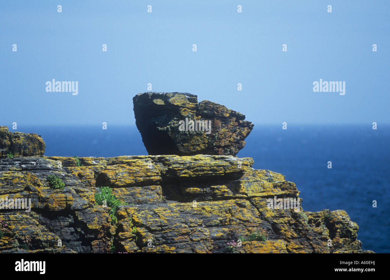 Bass point cornwall hi-res stock photography and images - Alamy