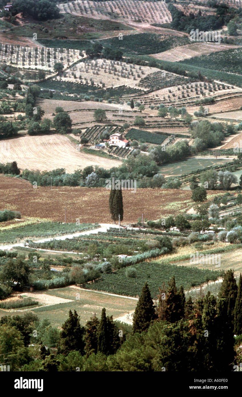 TUSCANY ITALY, Overview of Landscape Near Florence Patchwork ...