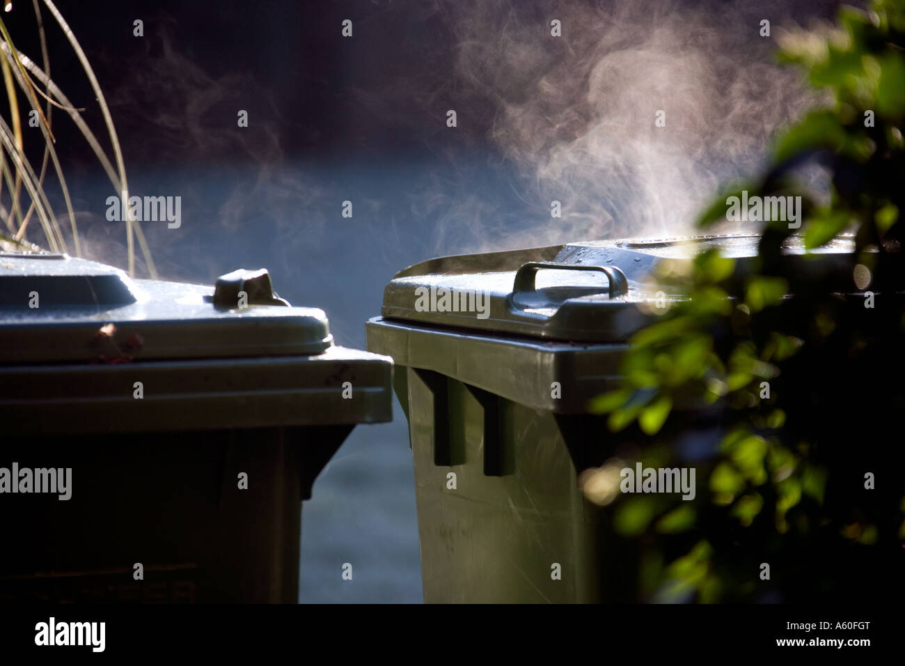 Kitchen trash landfill hi-res stock photography and images - Alamy