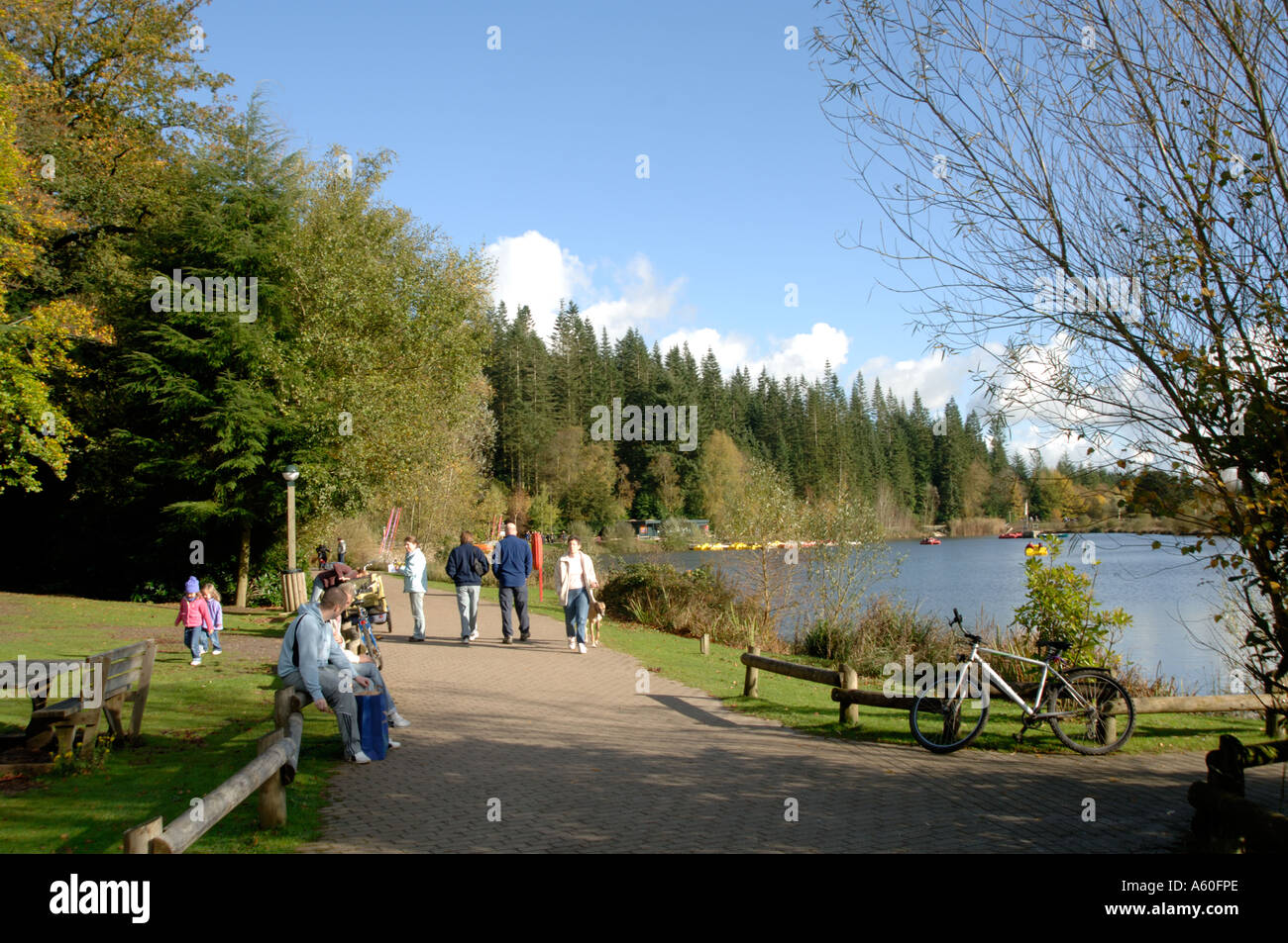 Walking around the Lake, Centre Parcs, Longleat, England, UK, Europe ...