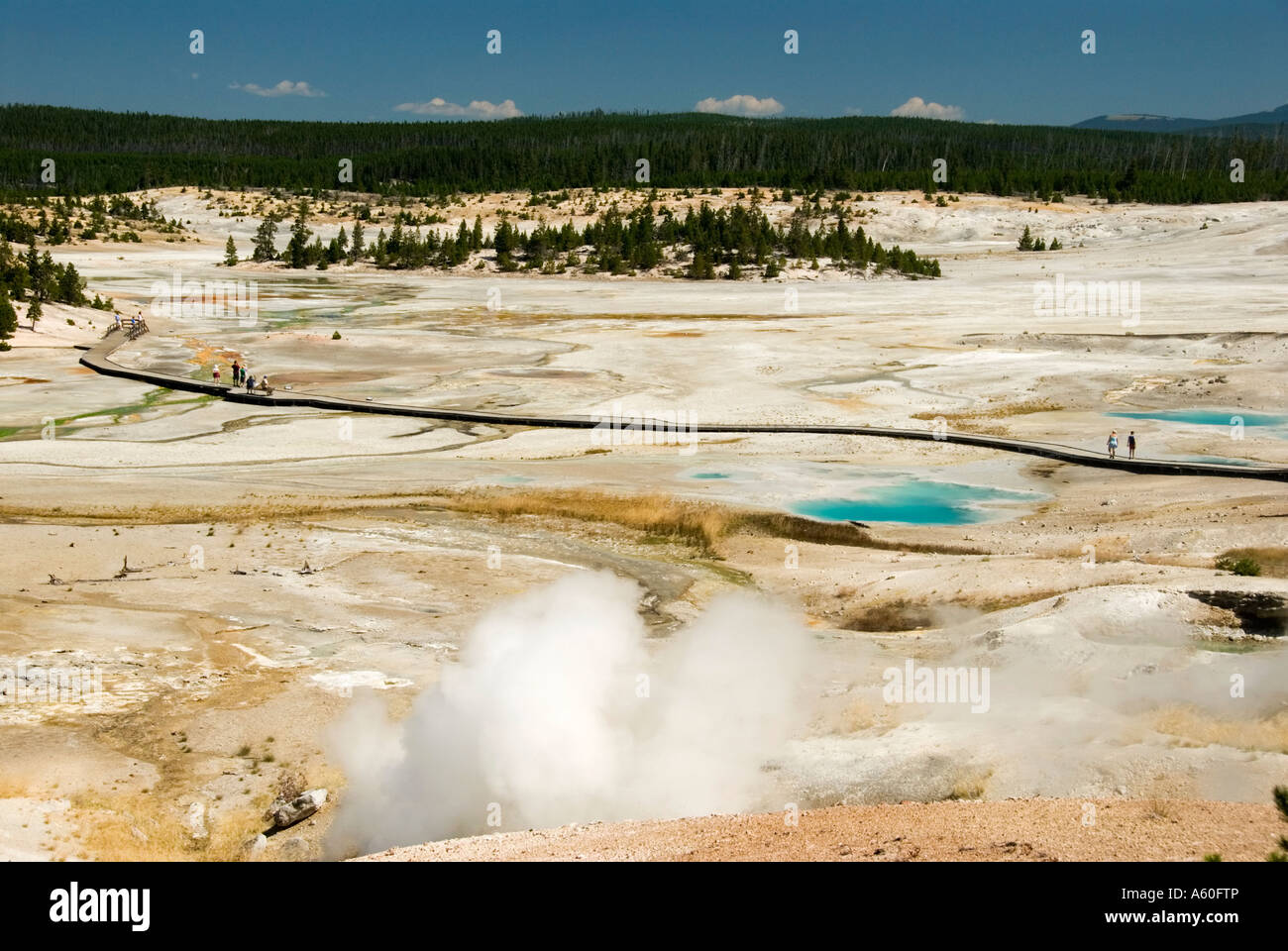 People walking along a path in Yellowstone Stock Photo - Alamy