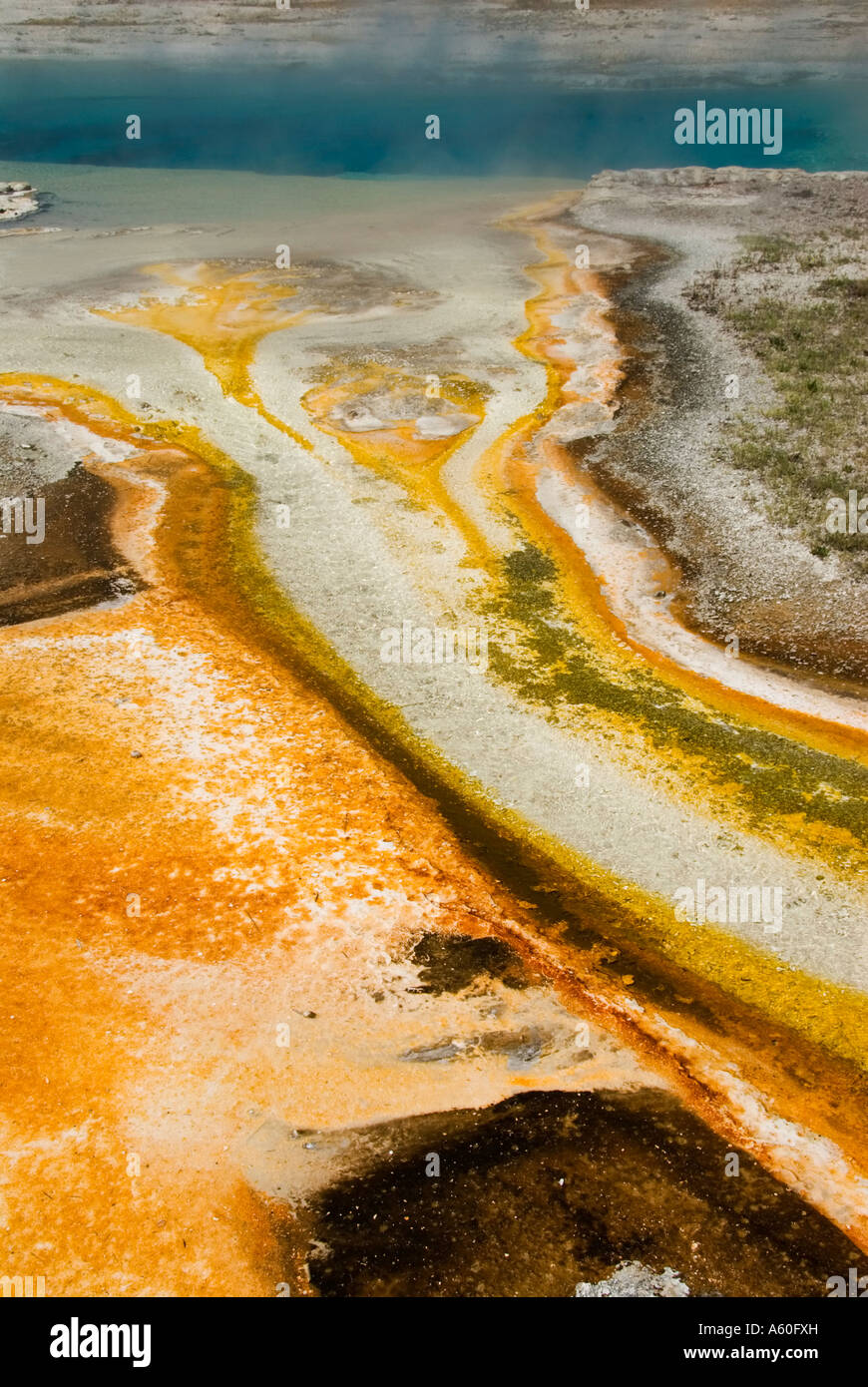 Colours of Yellowstone Stock Photo - Alamy