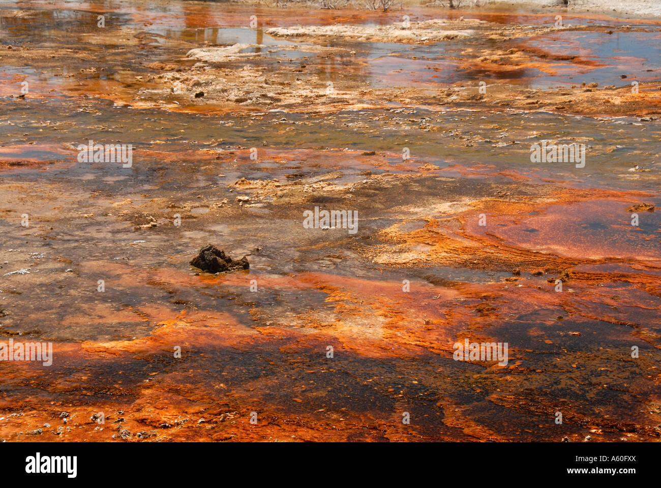 Colours of Yellowstone Stock Photo - Alamy