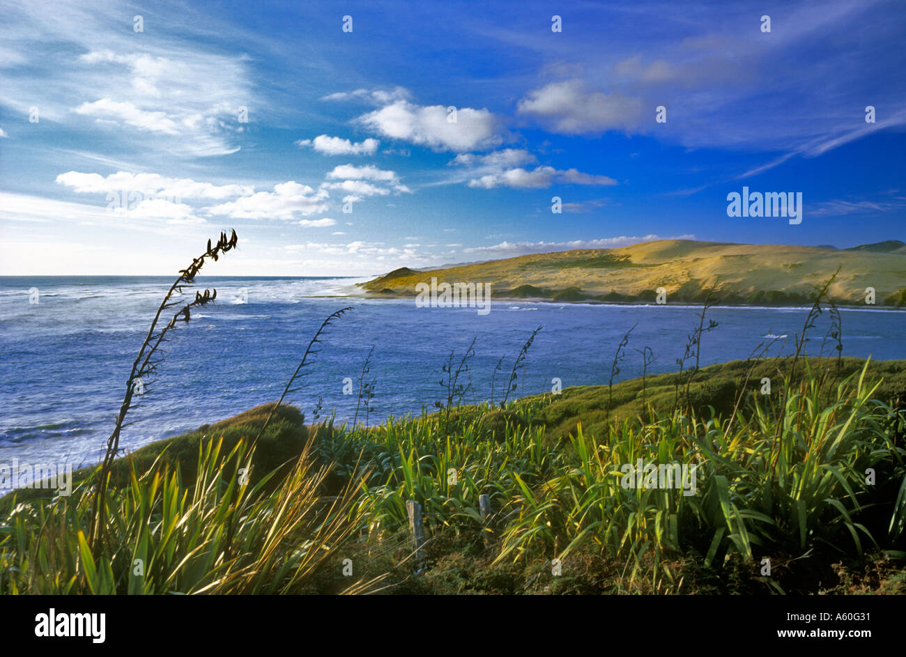 Omapere headland hi-res stock photography and images - Alamy