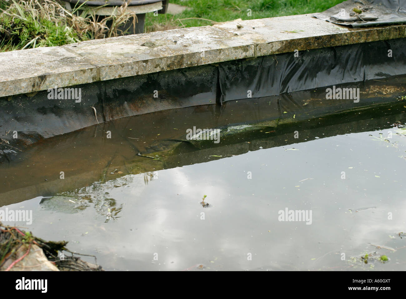 Marginal ponds hi-res stock photography and images - Alamy