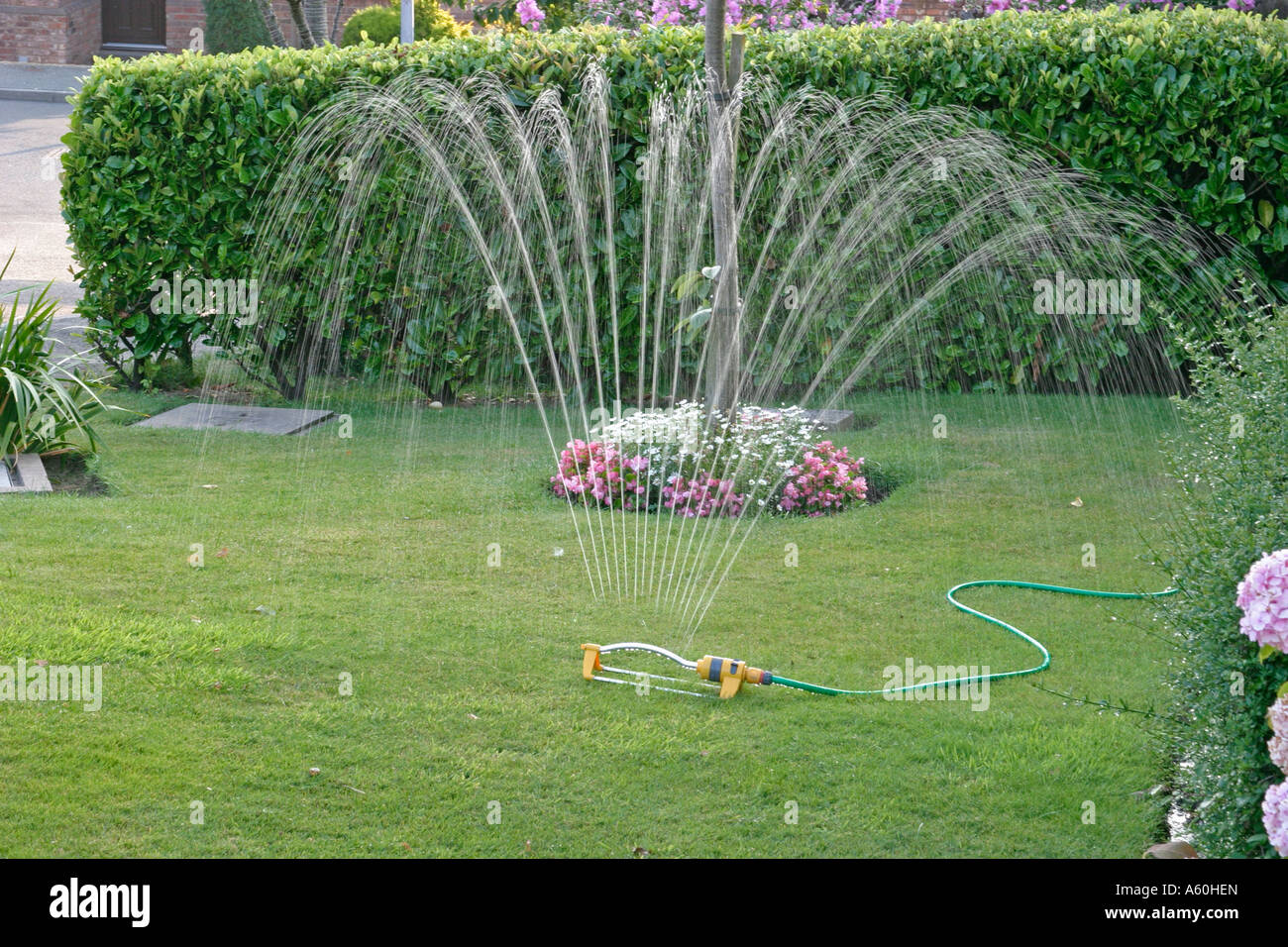 Watering use automatic sprayer on a lawn Stock Photo - Alamy