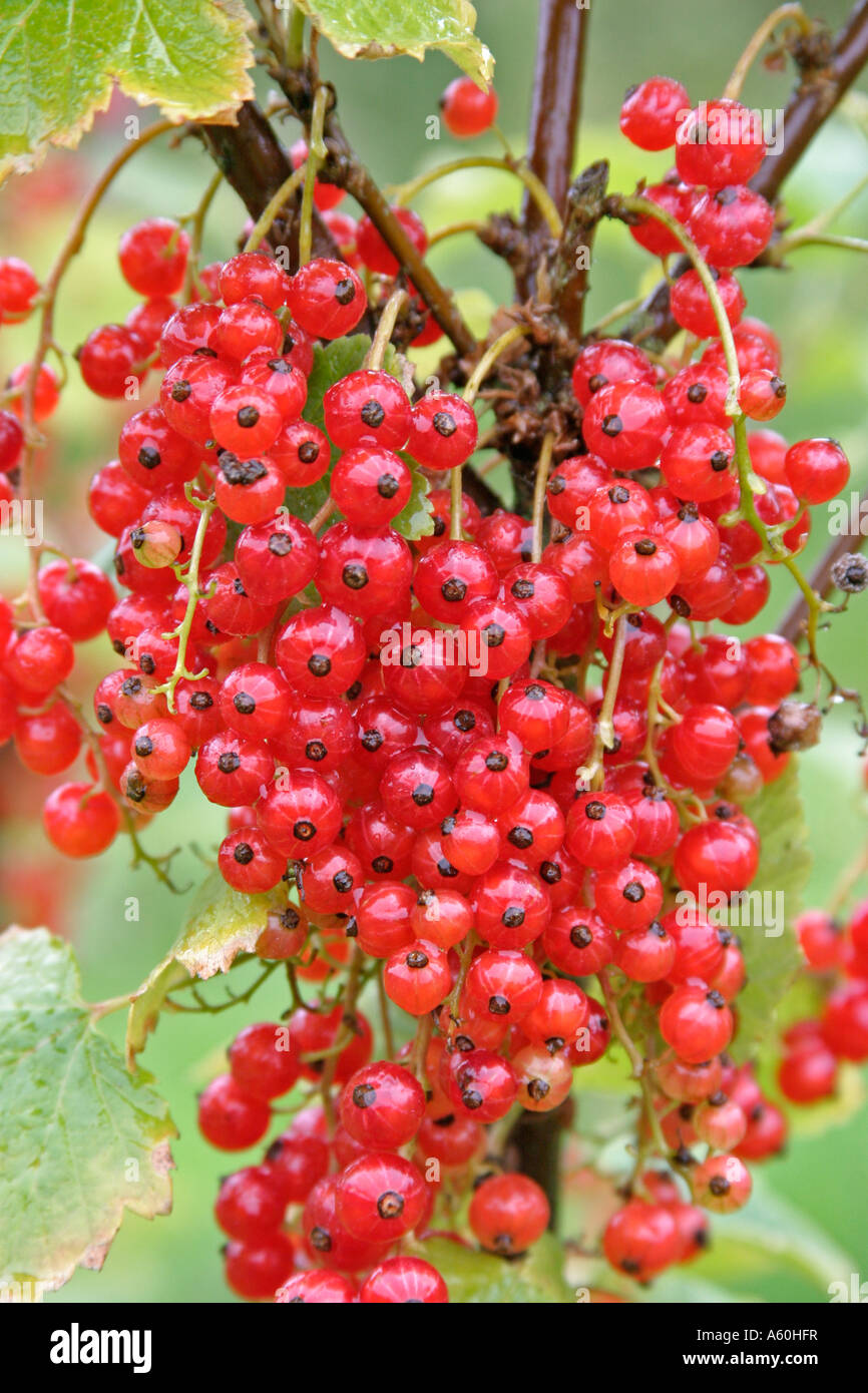 Lake currents hi-res stock photography and images - Alamy