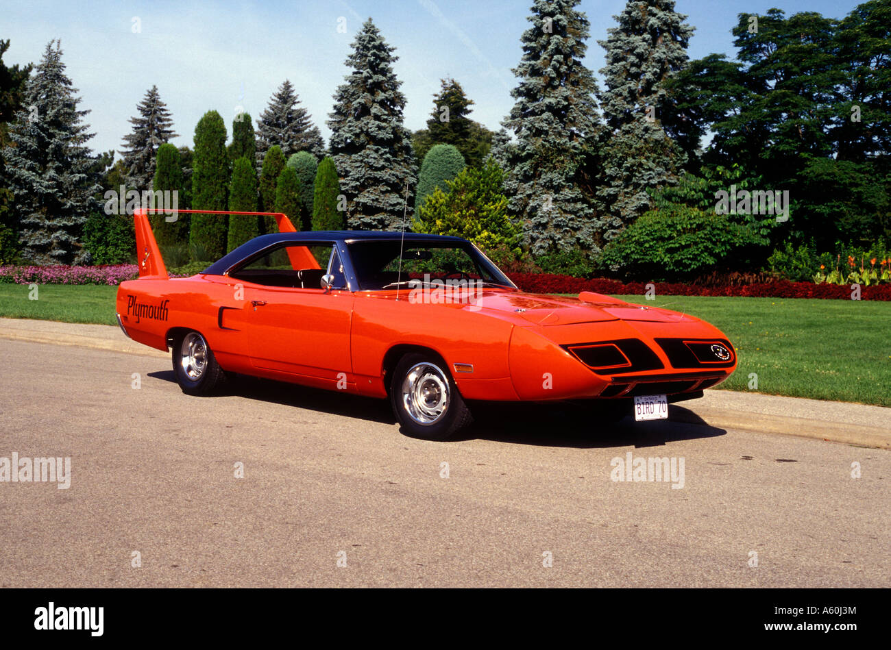 Superbird High Resolution Stock Photography and Images - Alamy
