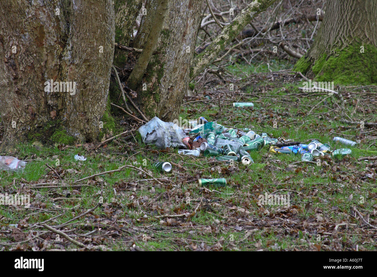 FLY TIPPING RUBBISH IN WOODLAND Stock Photo - Alamy