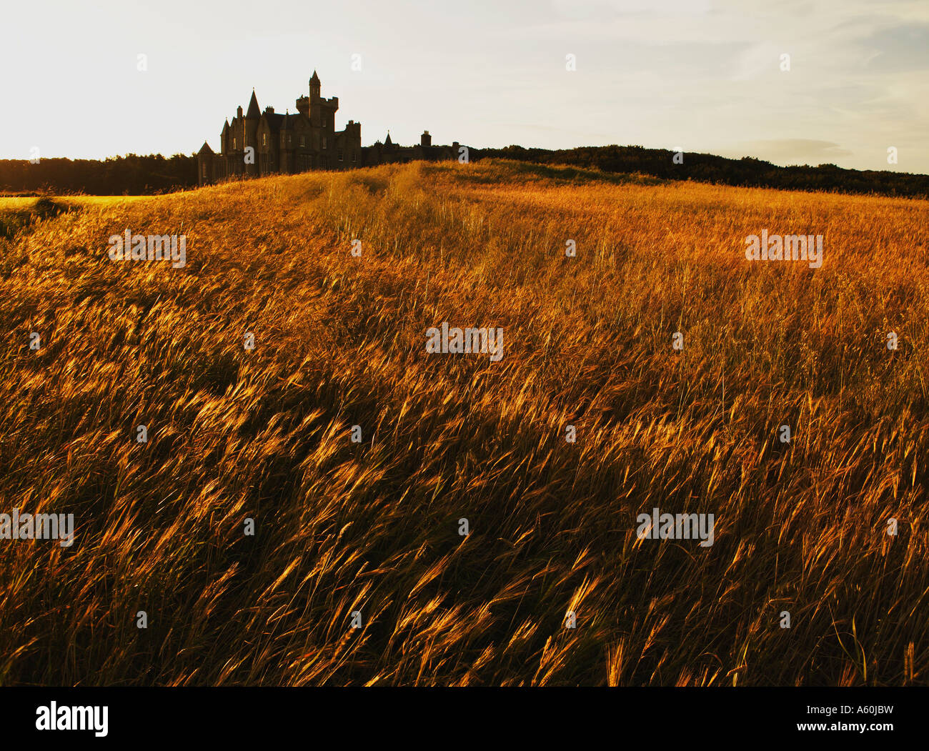 Sunset at balfour castle hi-res stock photography and images - Alamy