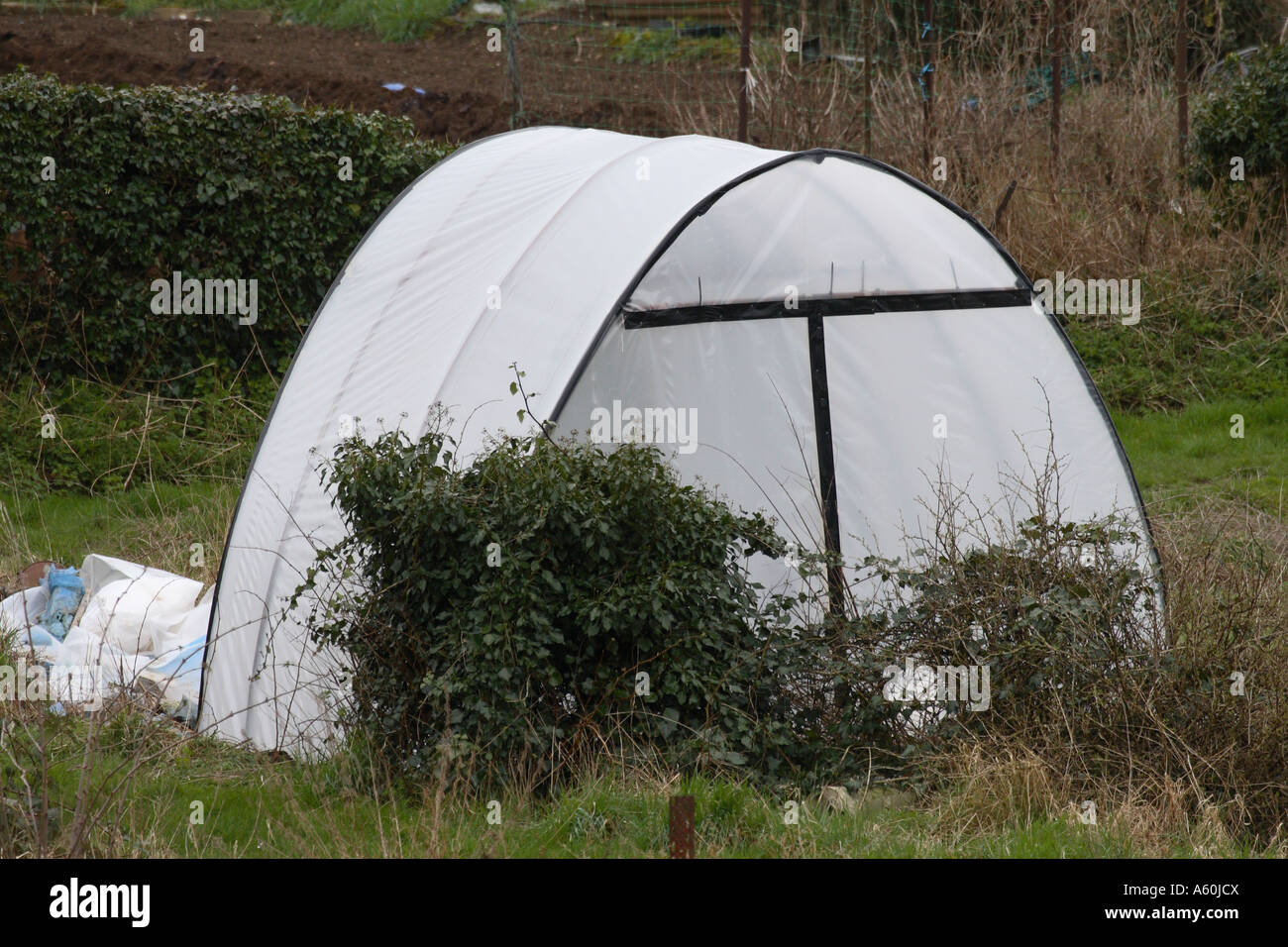 SMALL POLYTUNNEL ON ALLOTMENT Stock Photo - Alamy