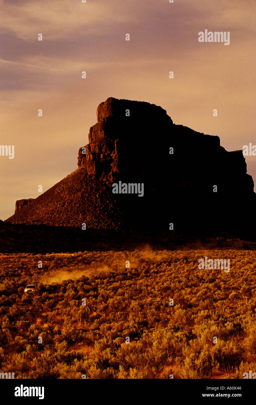 An SUV drives a dusty path at sunset through sagebrush in the desert ...