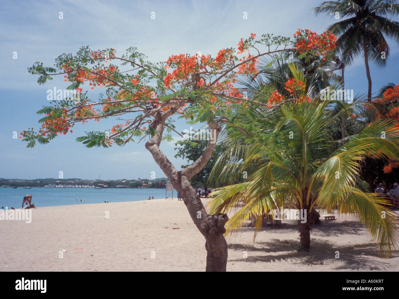 Boqueron beach hi-res stock photography and images - Alamy