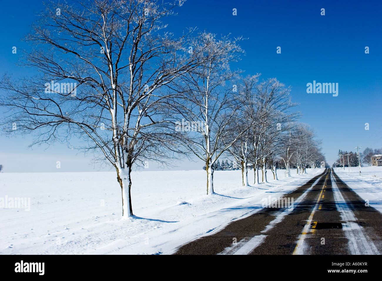 Paved country road after a snow storm. Ontario Canada Stock Photo - Alamy