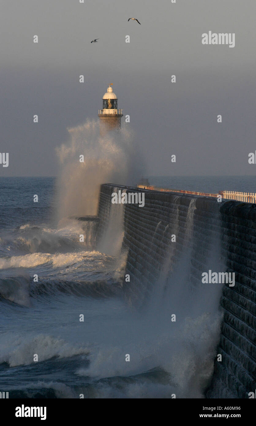 Wear estuary hi-res stock photography and images - Alamy