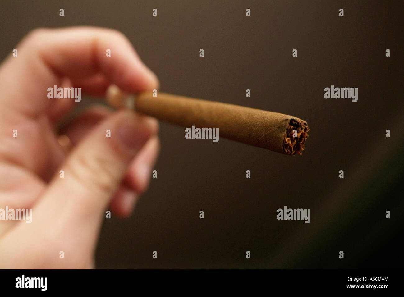 With small cigar hi-res stock photography and images - Alamy