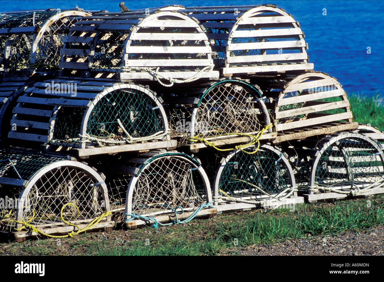 Traditional wooden lobster traps, Cape Breton Nova Scotia, Canada Stock ...