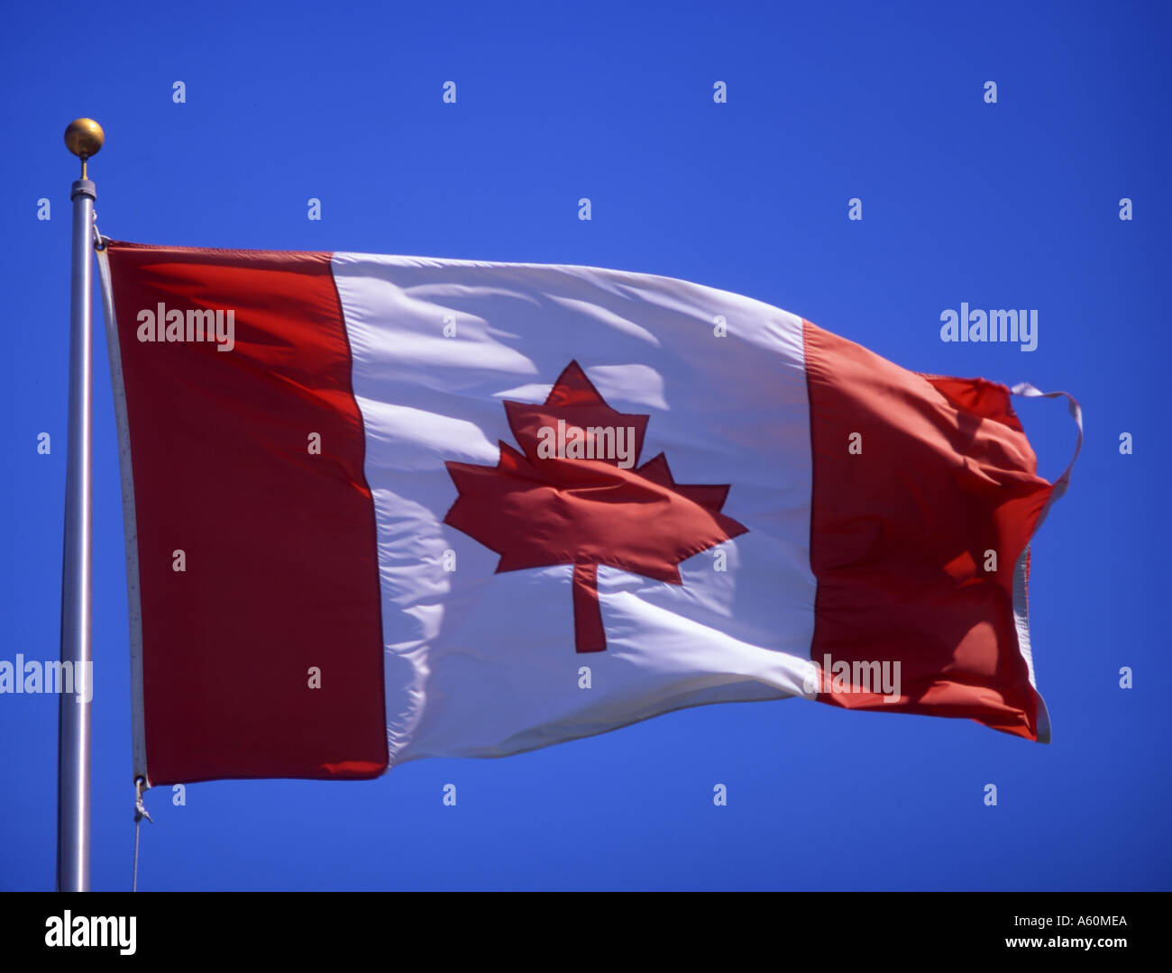 Canada flag hi-res stock photography and images - Alamy