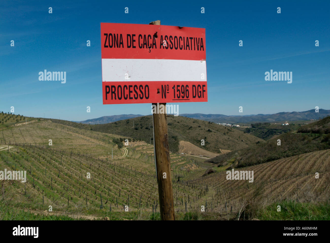 hunting boundary signs in the Douro Valley, Portugal Stock Photo - Alamy