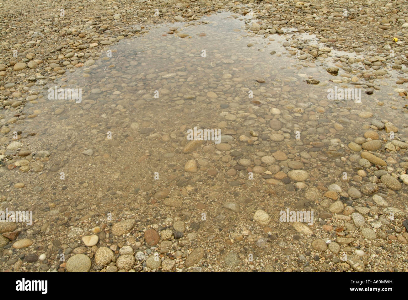 water puddle in a gravel pavement Stock Photo - Alamy