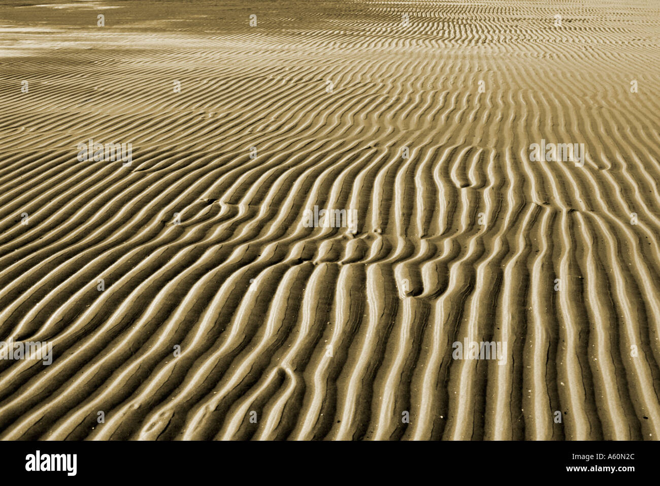 Sand Patterns Mayflower Beach Cape Cod MA Stock Photo - Alamy