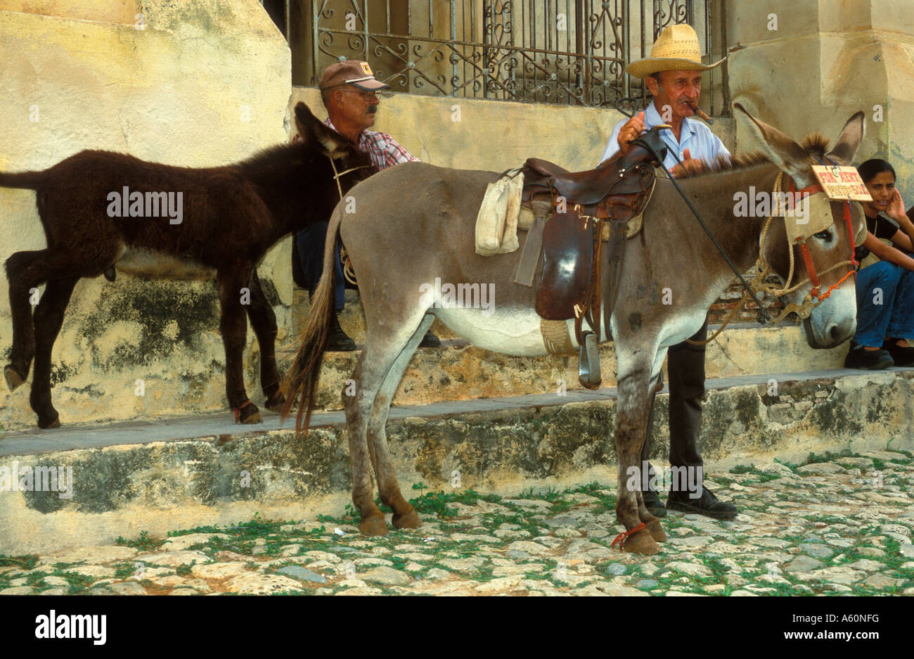Street scene Man with Donkeys Trinidad Cuba Caribbean Stock Photo - Alamy