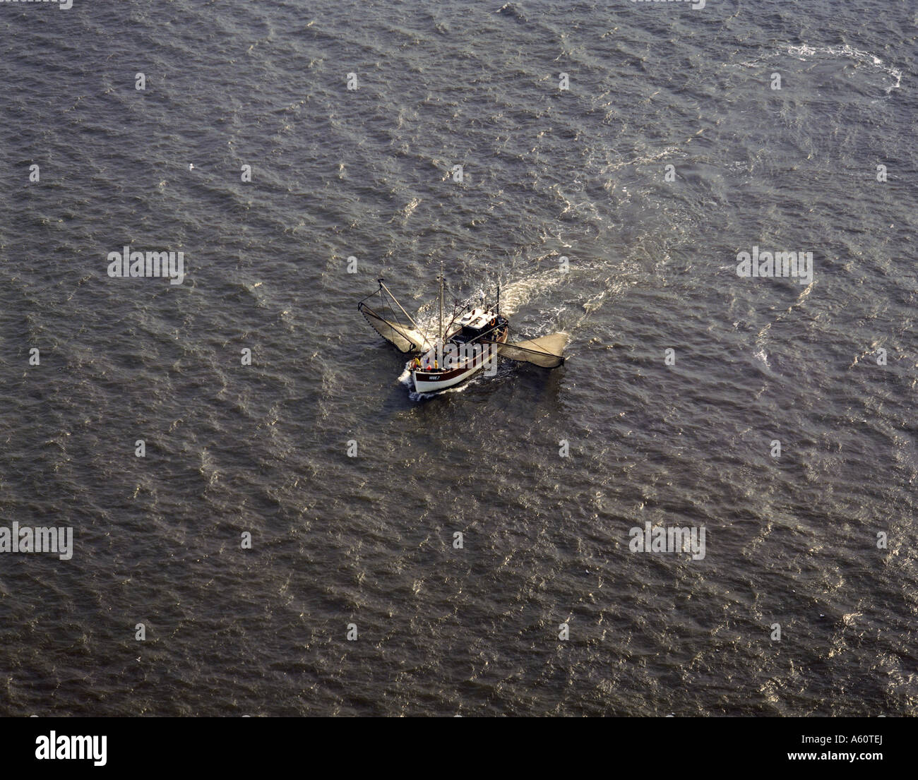 crab cutter in North Sea Stock Photo - Alamy
