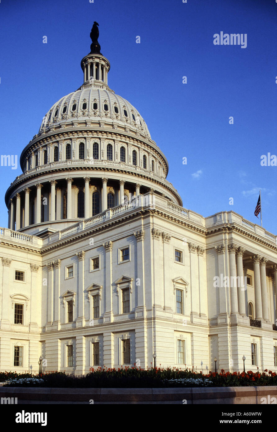 U.S. Capitol Building, Washington, D.C Stock Photo - Alamy
